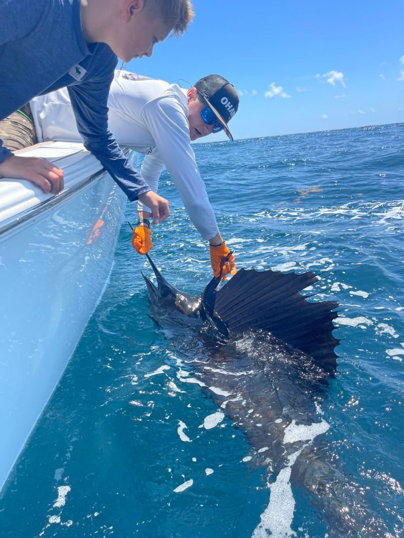 Beginner’s Guide to Reeling in Fish Like a Pro | Stuart Sport Fishing