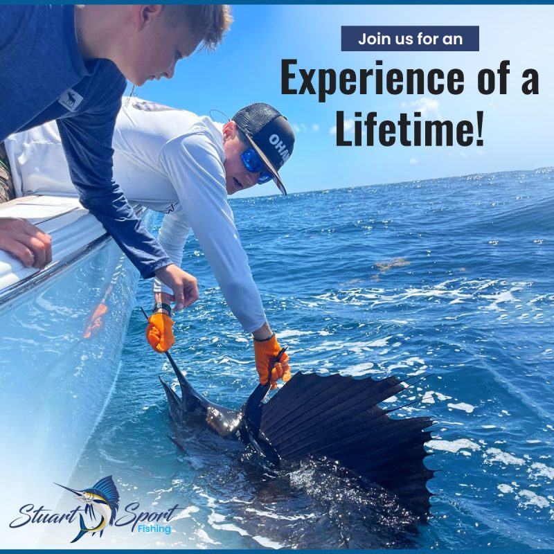 Beginner’s Guide to Reeling in Fish Like a Pro | Stuart Sport Fishing